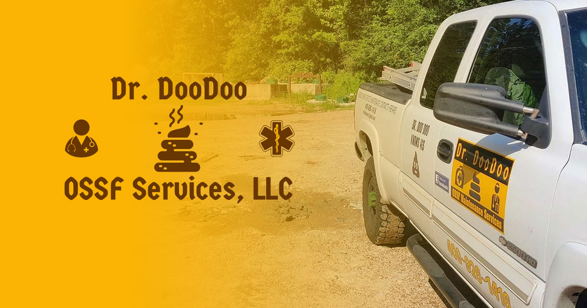 Reviews – Dr. DooDoo